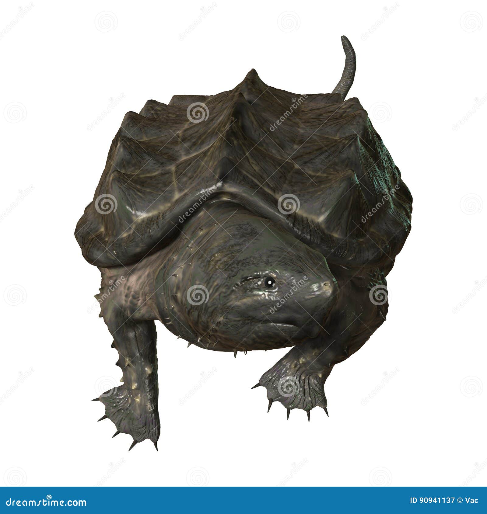 Snapping Turtle Logo