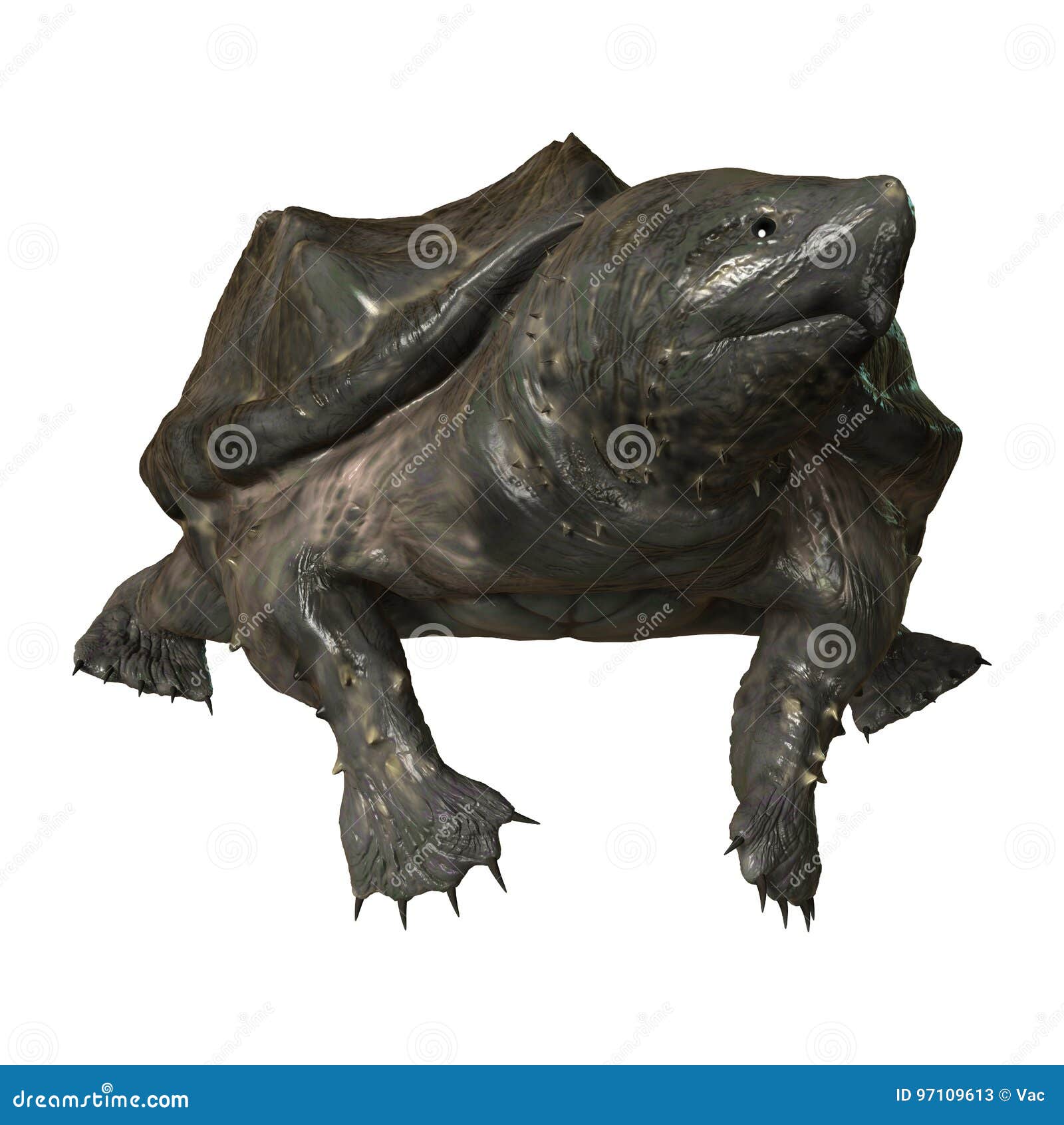 3D Rendering Alligator Snapping Turtle on White Stock Illustration ...
