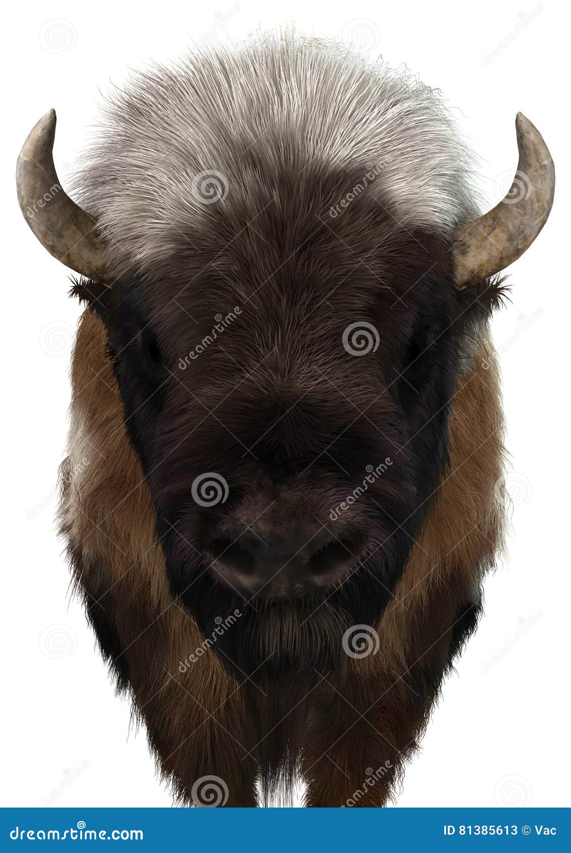 3D Rendering American Bison on White Stock Illustration - Illustration ...