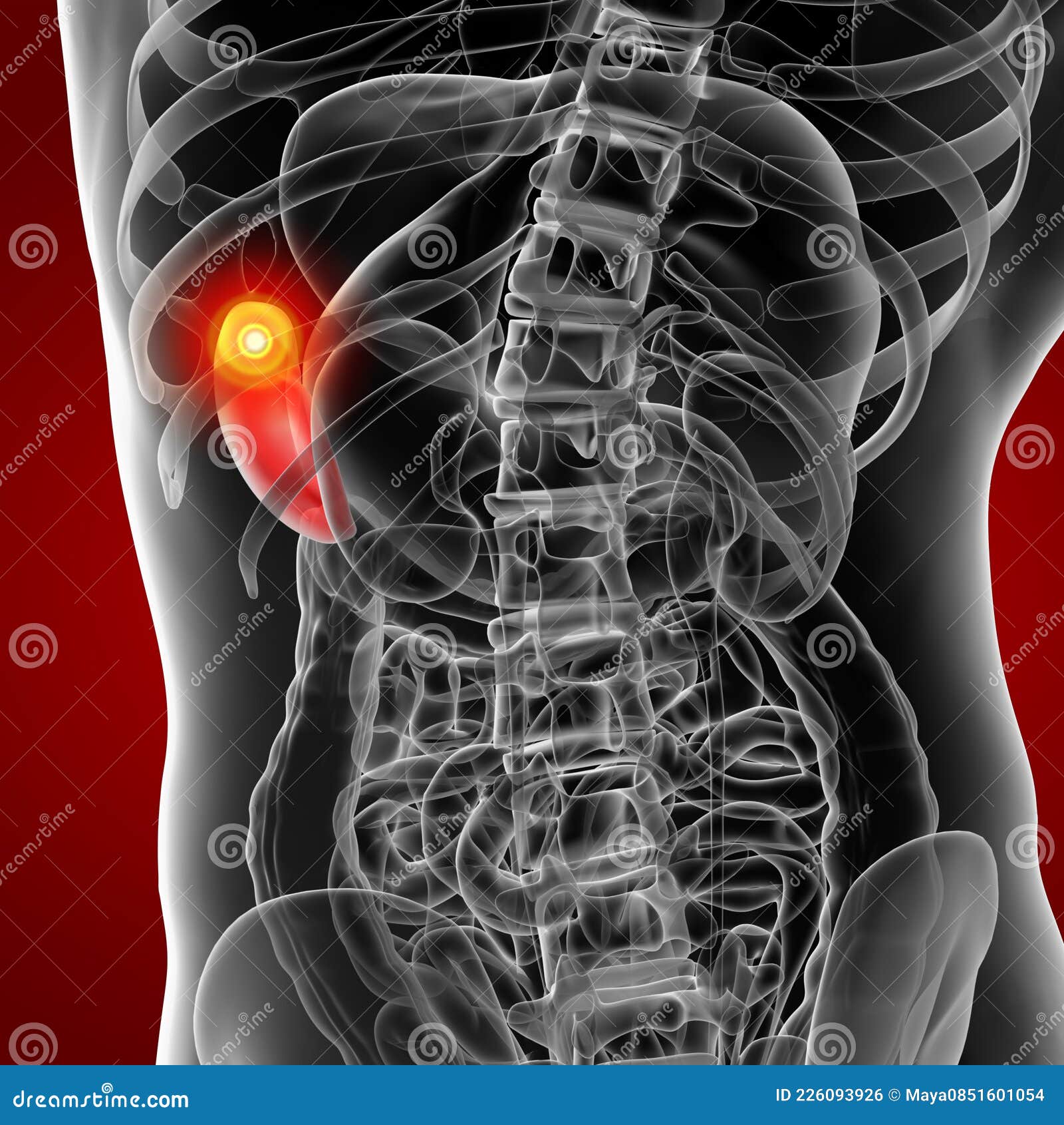 3D Rendering Illustration of Spleen Stock Illustration - Illustration ...