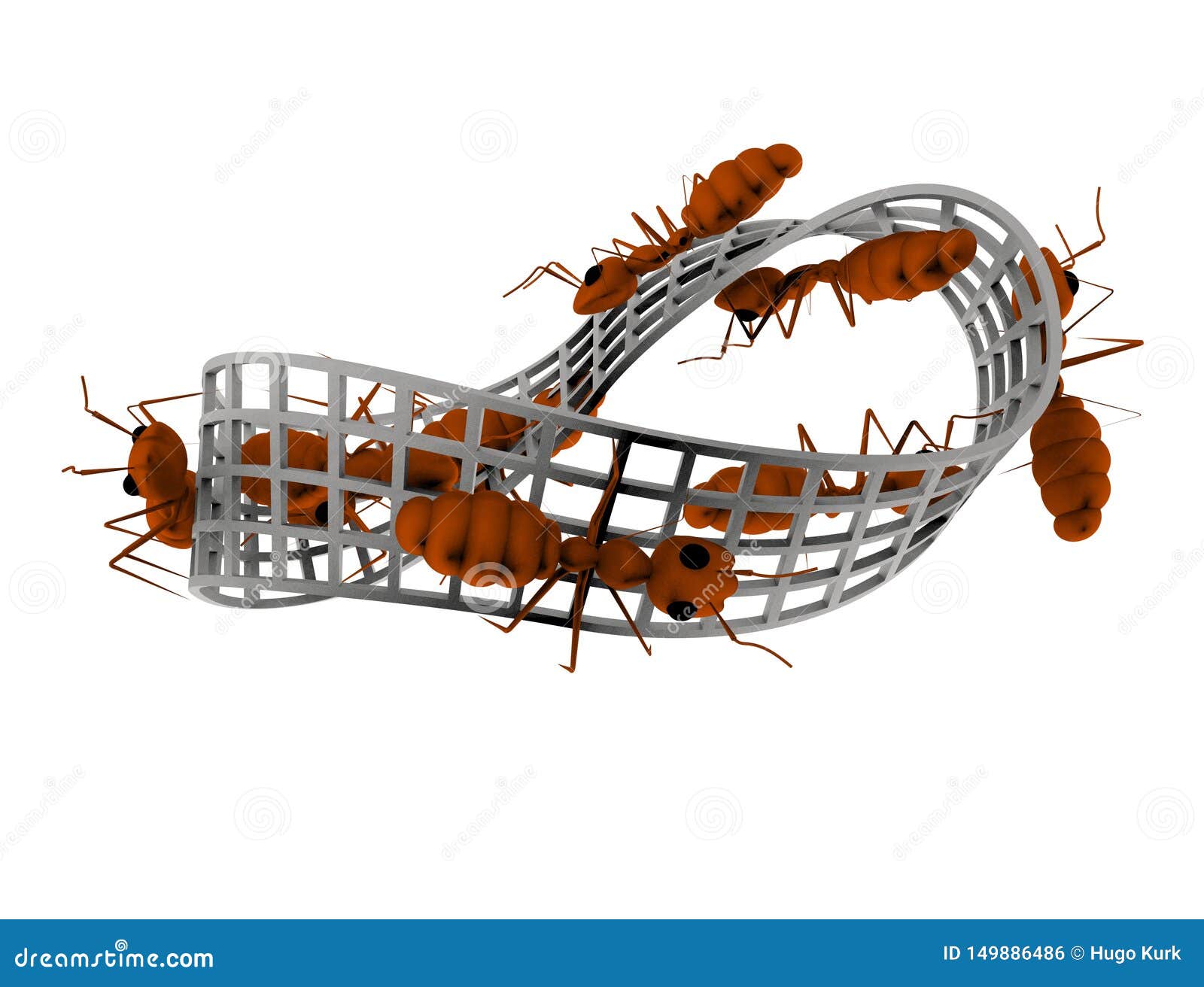 Infinity Ants Tattoo Design Vector Illustration Set. Black And White ...