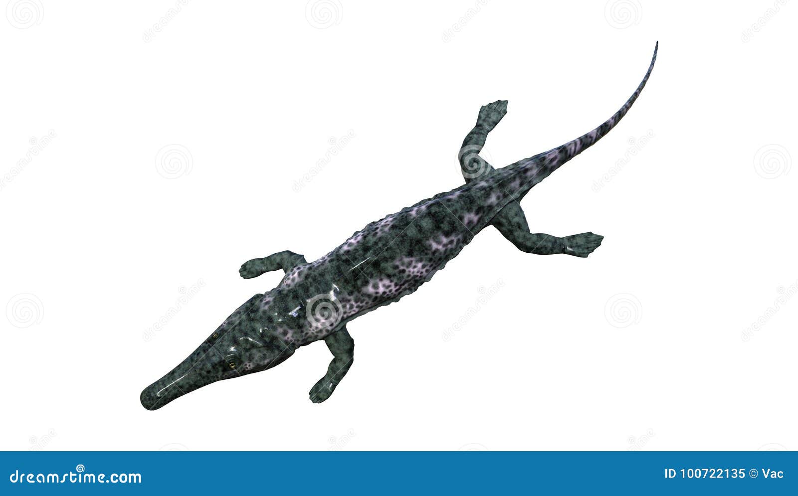 Labyrinthodontia Cartoons, Illustrations & Vector Stock Images - 20 ...