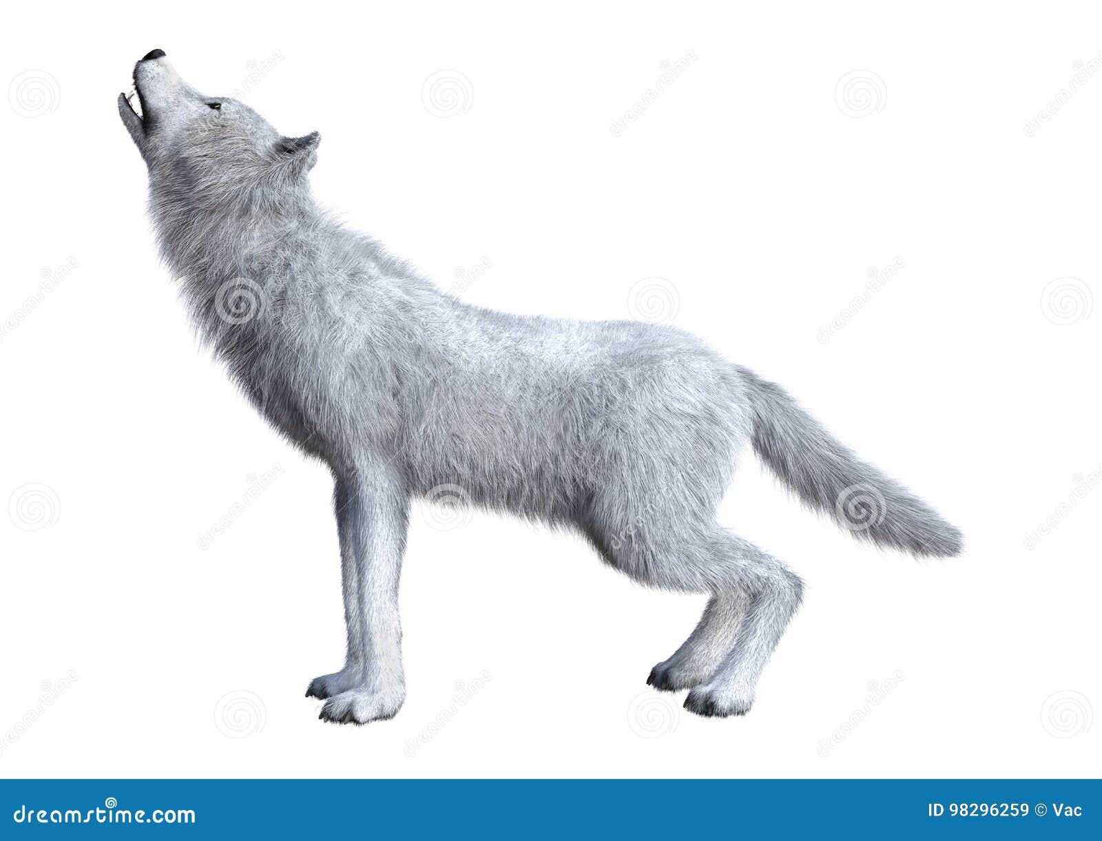 Arctic Wolf Stock Illustrations – 718 Arctic Wolf Stock Illustrations ...