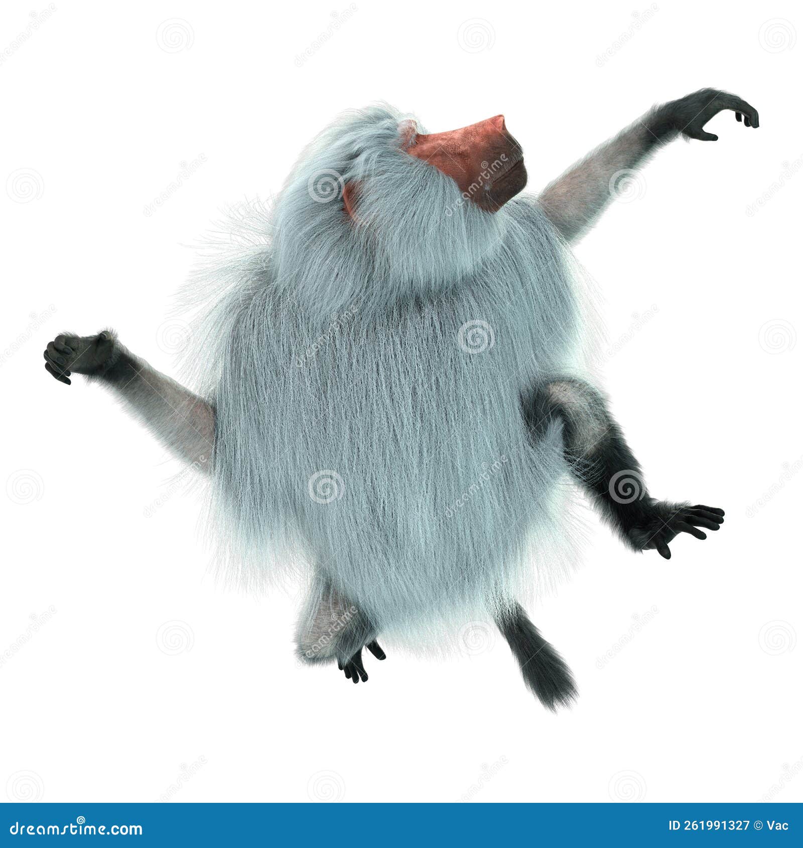 3D Rendering Baboon on White Stock Illustration - Illustration of ...