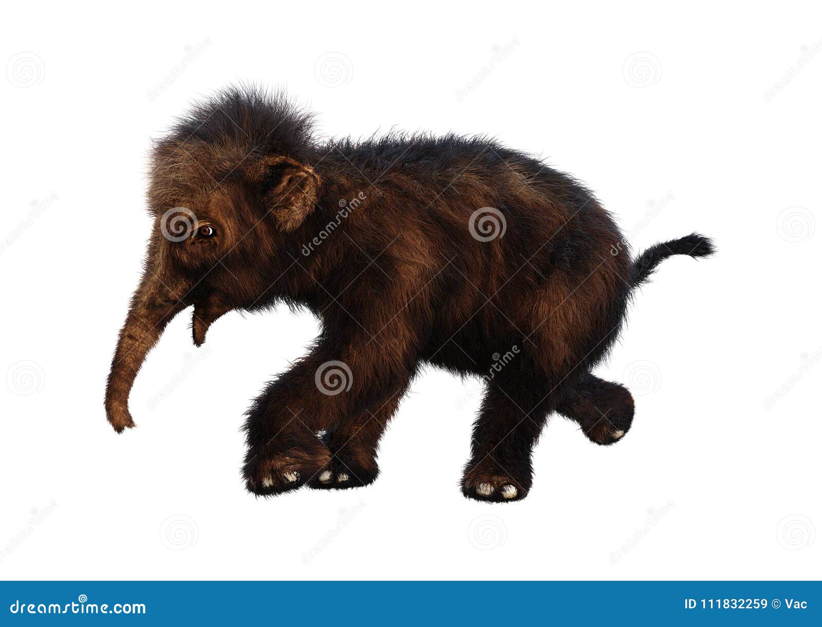 3D Rendering Baby Woolly Mammoth On White Royalty-Free Stock ...