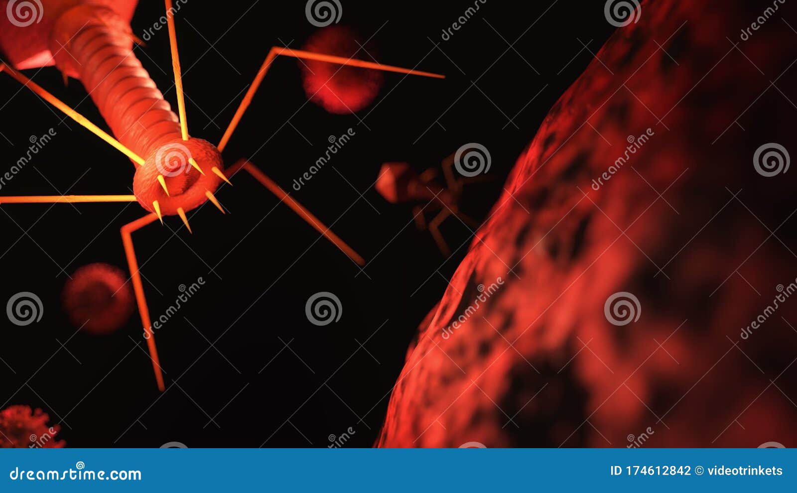Bacteriophage Cell Culture Background In Velvet With Spikes, Dna ...