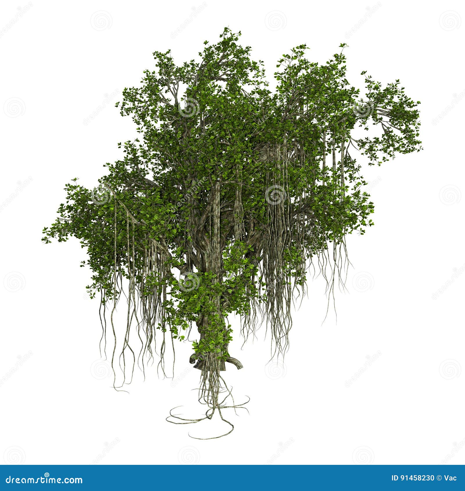 3D Rendering Banyan Tree On White Royalty-Free Stock Photo ...