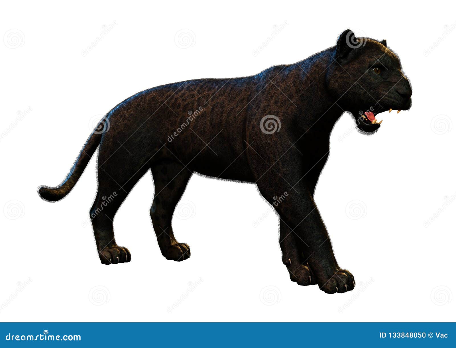 3D Rendering Black Panther on White Stock Illustration - Illustration ...