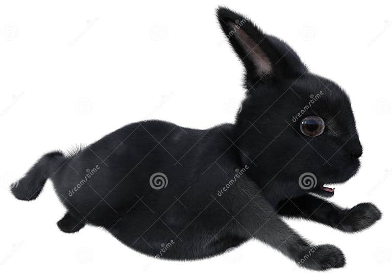 3D Rendering Black Bunny on White Stock Illustration - Illustration of ...