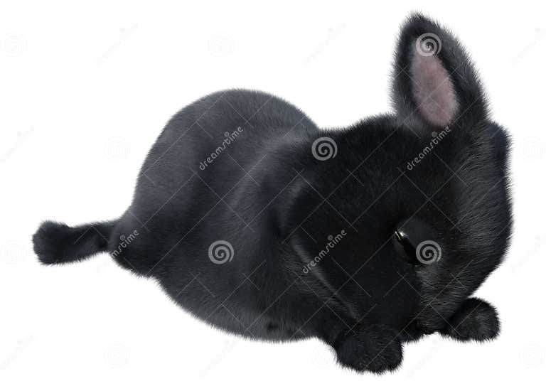 3D Rendering Black Bunny on White Stock Illustration - Illustration of ...