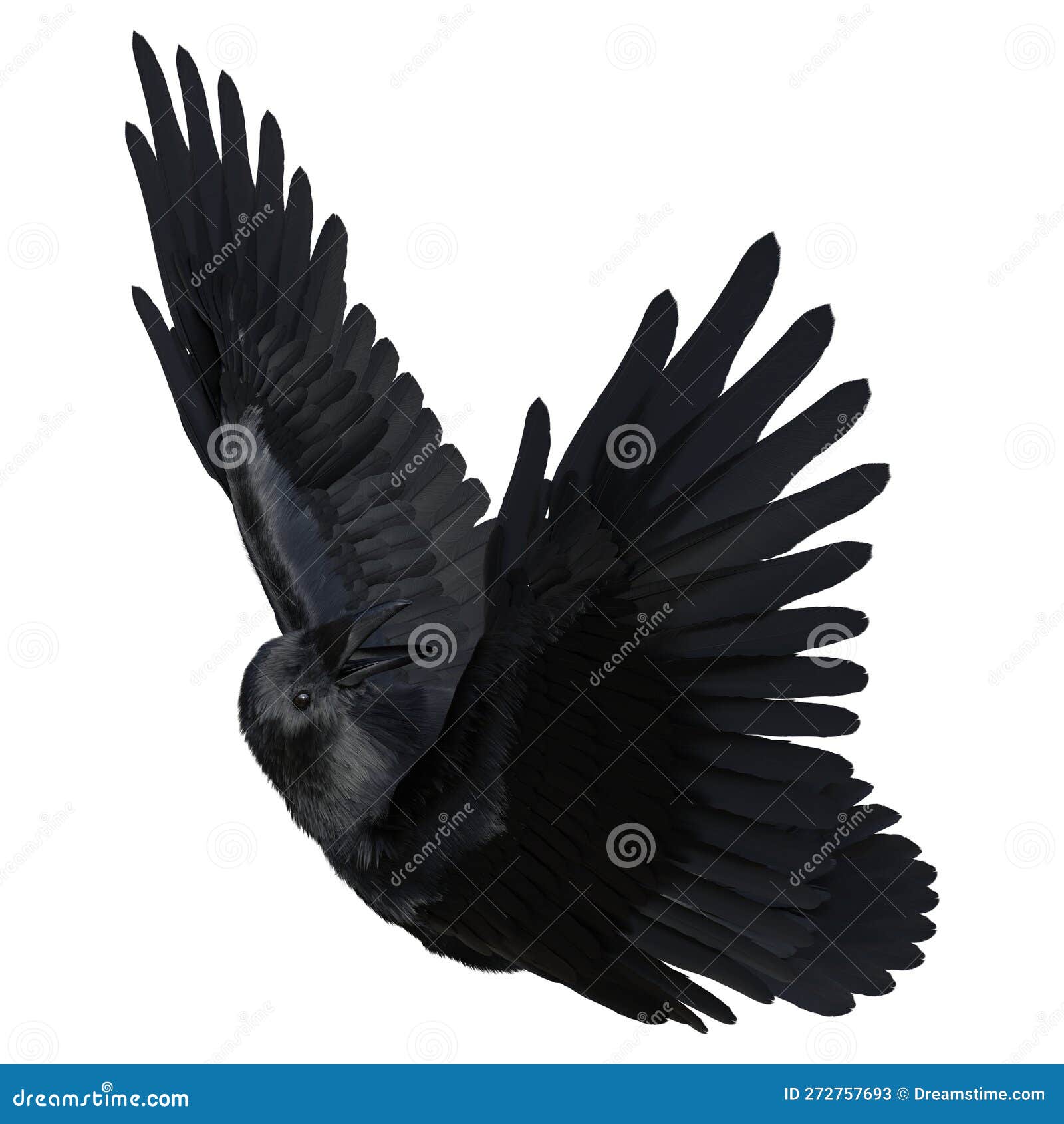 3D Rendering Black Crow on White Stock Illustration - Illustration of ...