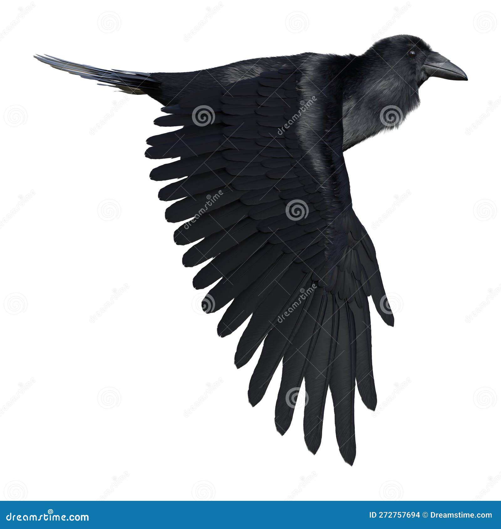 3D Rendering Black Crow on White Stock Illustration - Illustration of ...