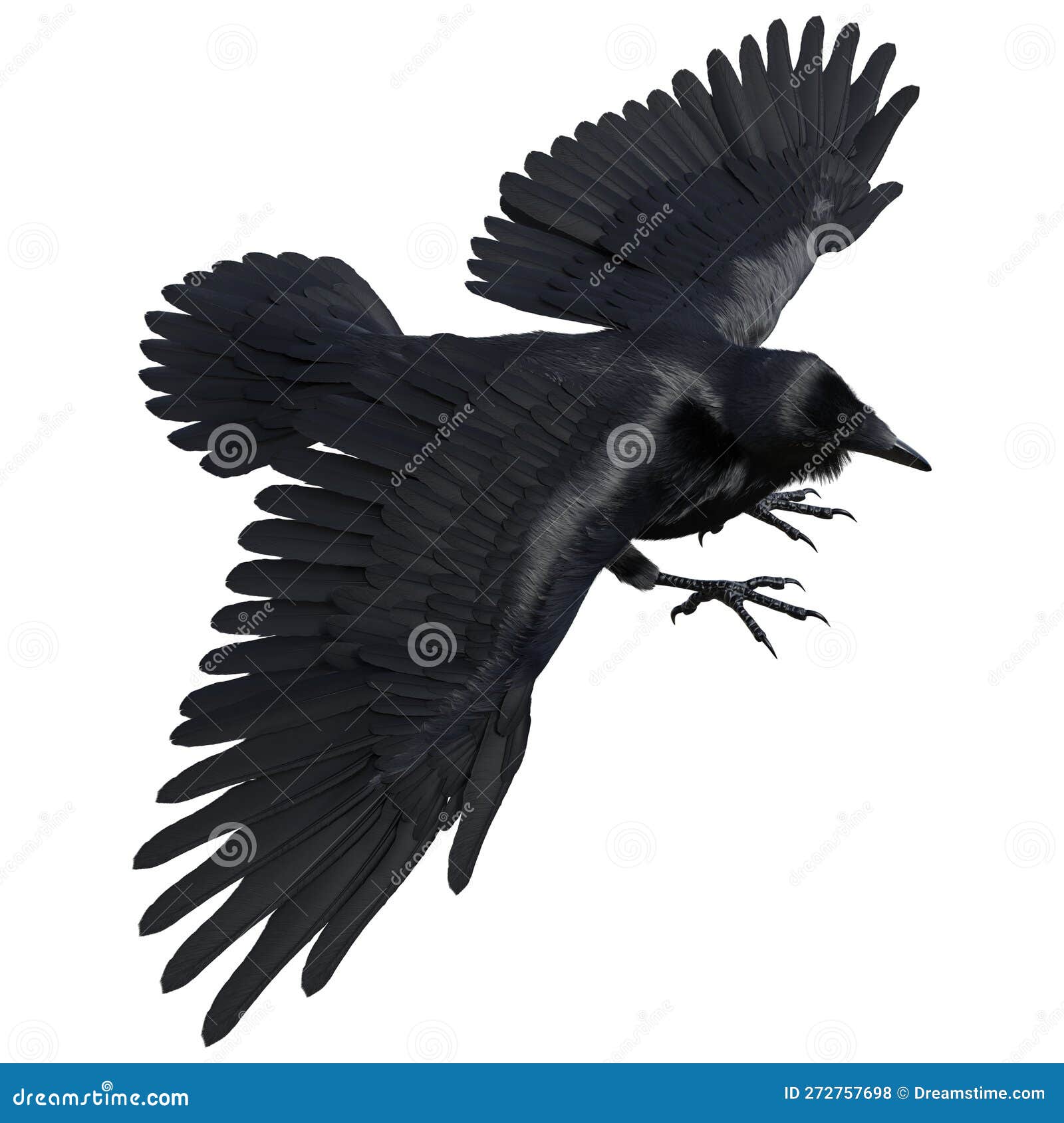 3D Rendering Black Crow on White Stock Illustration - Illustration of ...