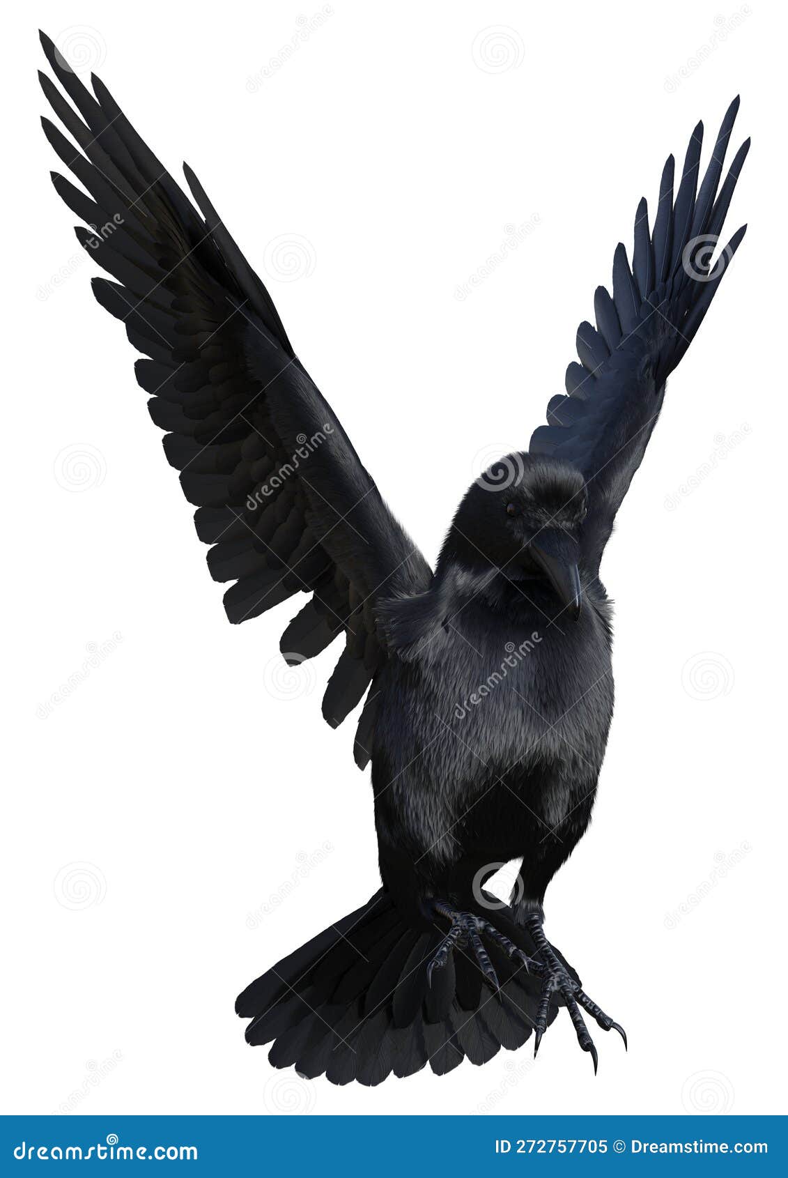 3D Rendering Black Crow on White Stock Illustration - Illustration of ...