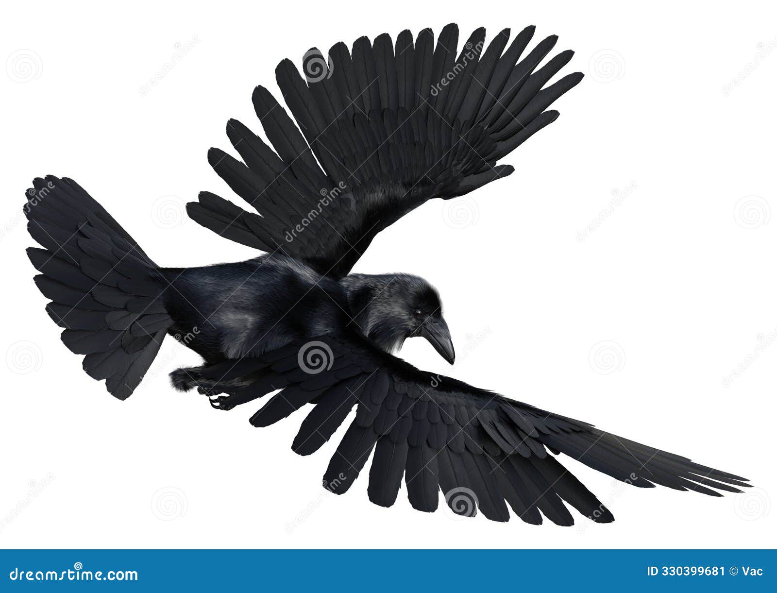 3D Rendering Black Crow on White Stock Illustration - Illustration of ...