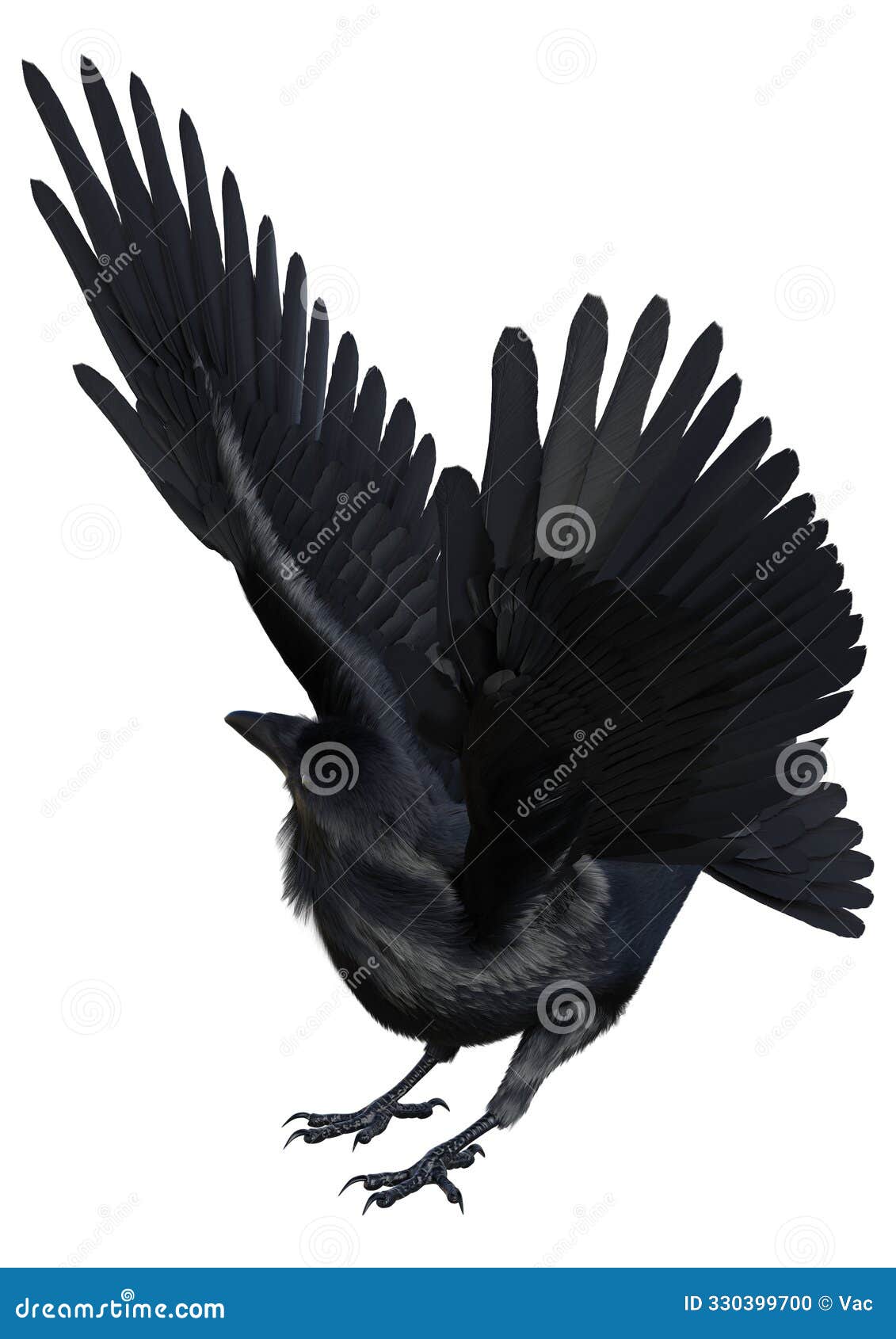 3D Rendering Black Crow on White Stock Illustration - Illustration of ...
