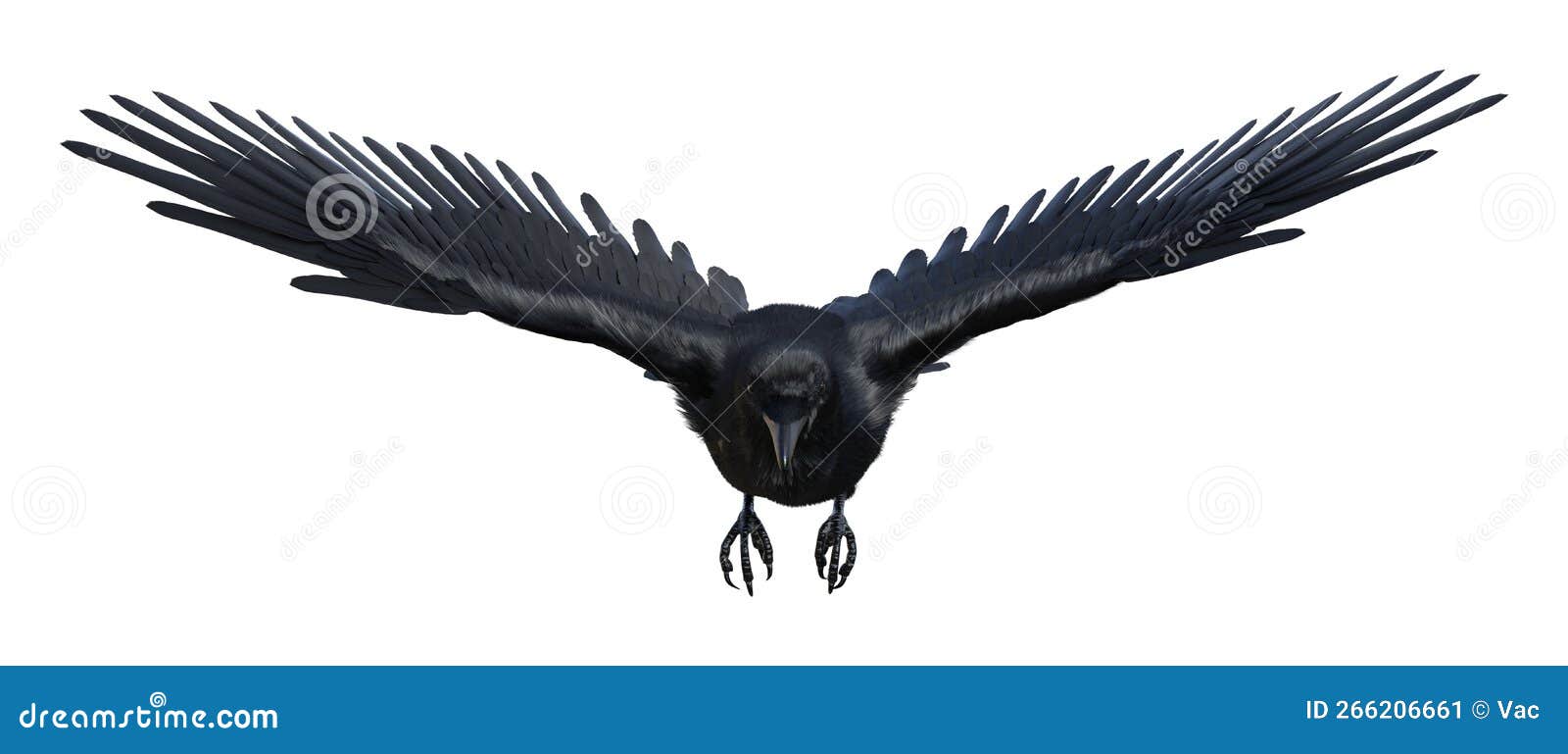 3D Rendering Black Crow on White Stock Illustration - Illustration of ...