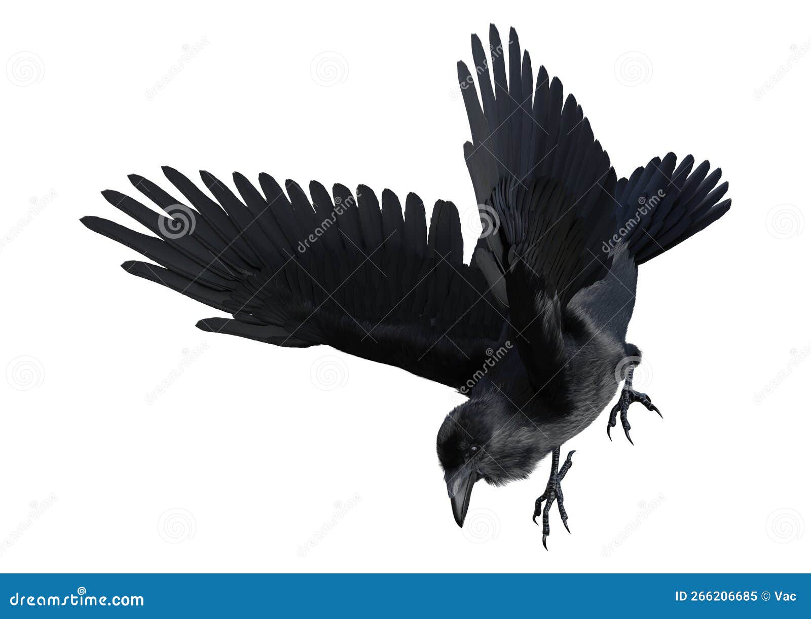 3D Rendering Black Crow on White Stock Illustration - Illustration of ...