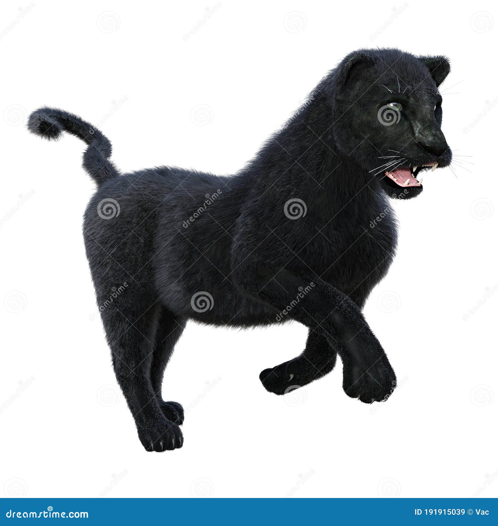 3D Rendering Black Panther on White Stock Illustration - Illustration ...