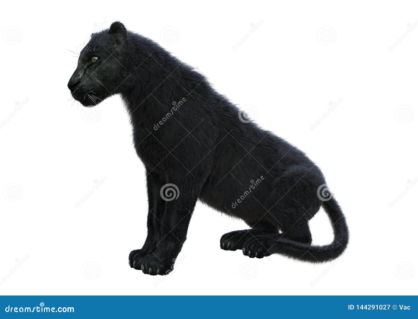 3D Rendering Black Panther on White Stock Image - Image of dangerous ...