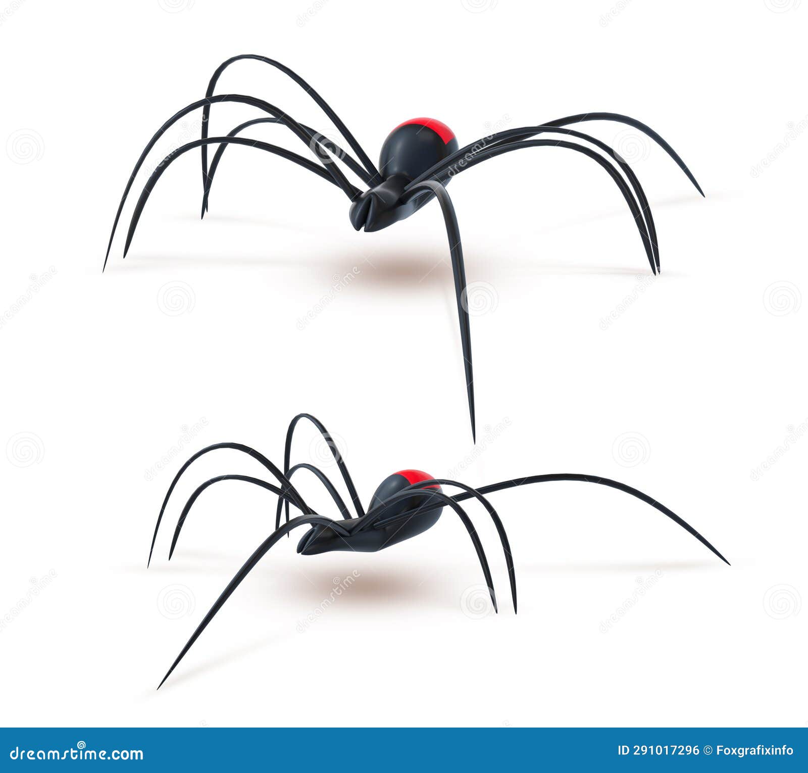 3D Rendering Black Spider Side and Frontside View Isolated on White ...