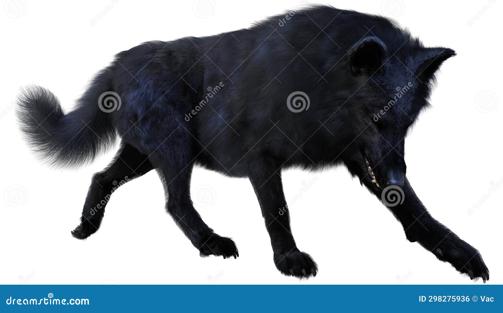 3D Rendering Black Wolf on White Stock Illustration - Illustration of ...