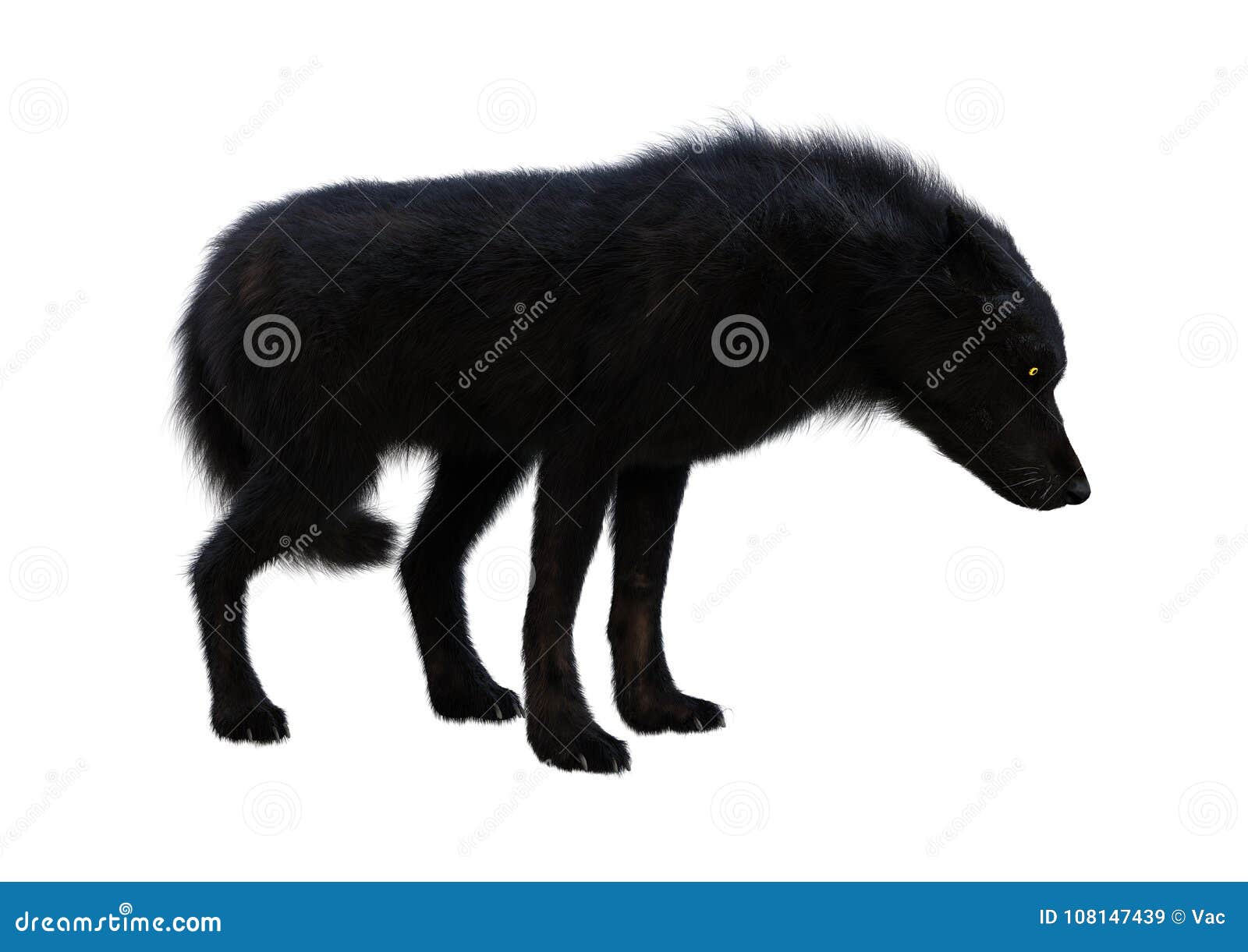 3D Rendering Black Wolf on White Stock Image - Image of wolf, beast ...