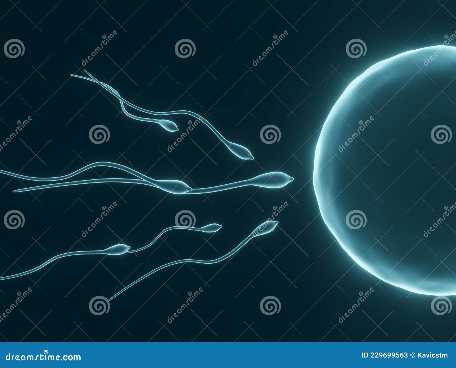 3D Blue Microscopic Sperm and Egg Cell Stock Illustration ...