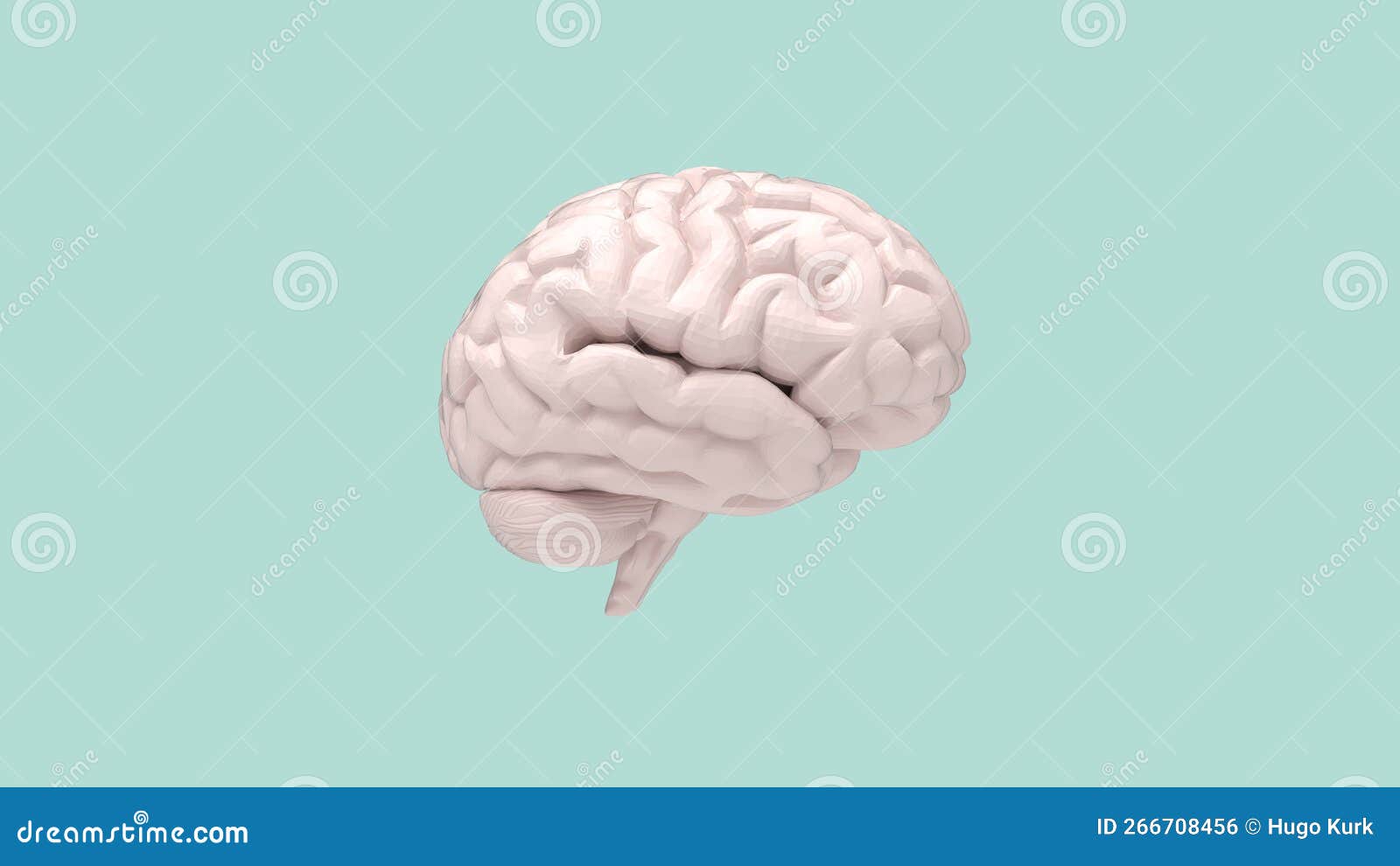 3D Rendering of a Brain, Symbol for Learning,thinking, Idea,sollution ...