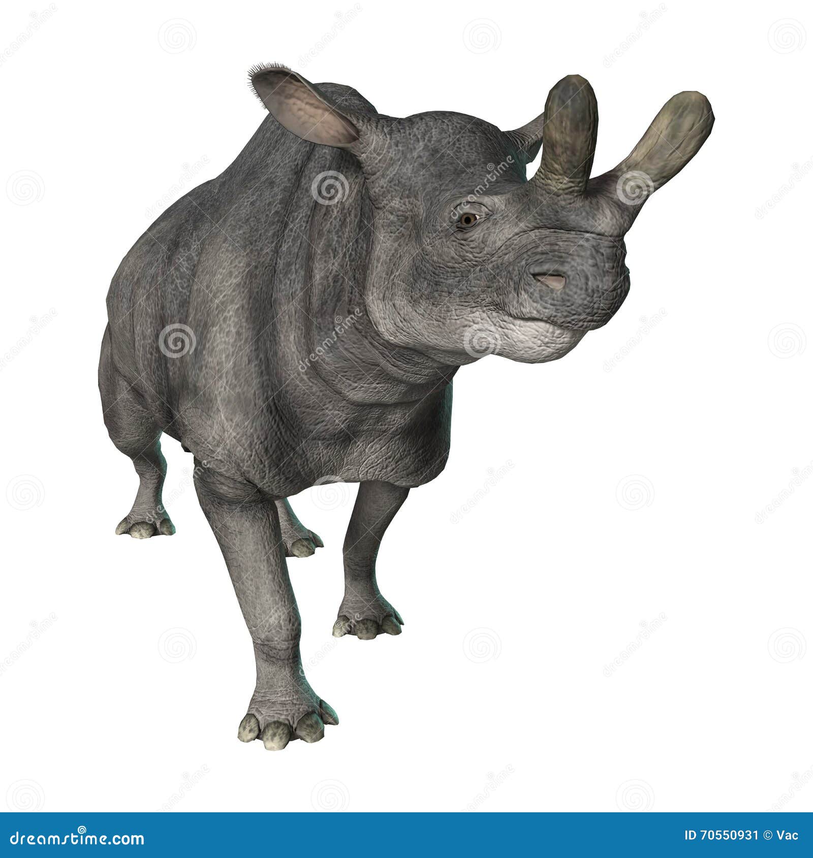 3D Rendering Brontotherium on White Stock Illustration - Illustration ...