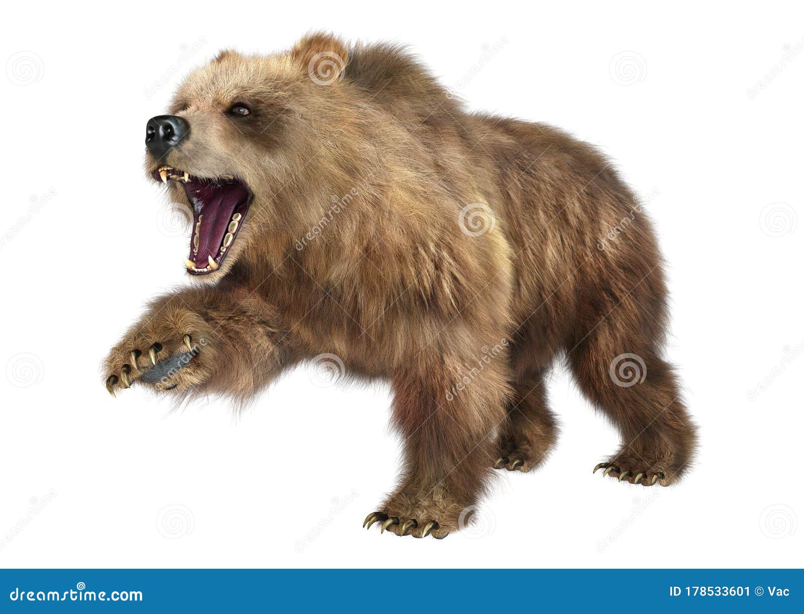3D Rendering Brown Bear on White Stock Illustration - Illustration of ...