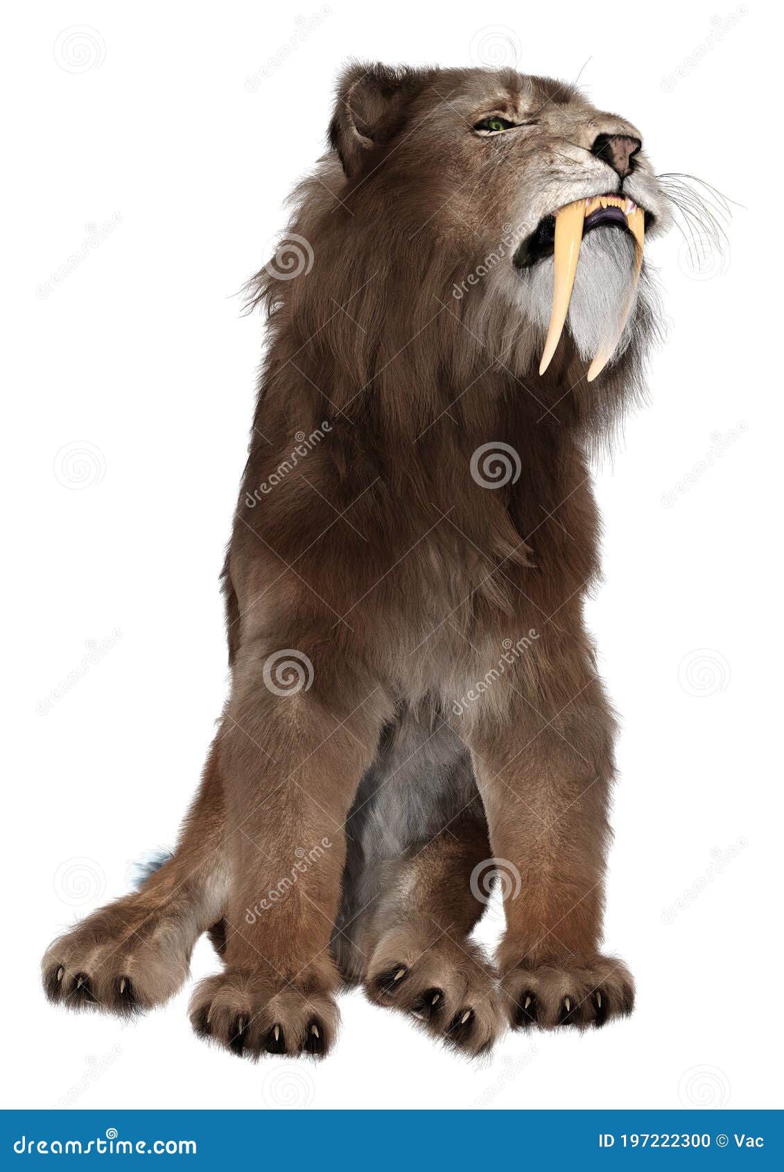 3D Rendering Sabertooth Tiger on White Stock Illustration ...