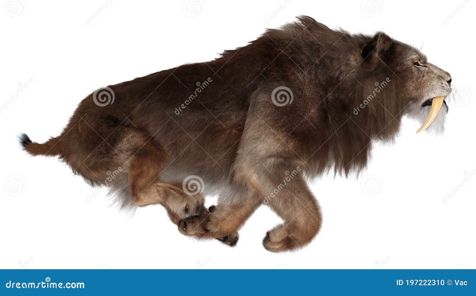 Sabertooth Tiger Head For Patch Design Or Sport Teams Logos Royalty ...