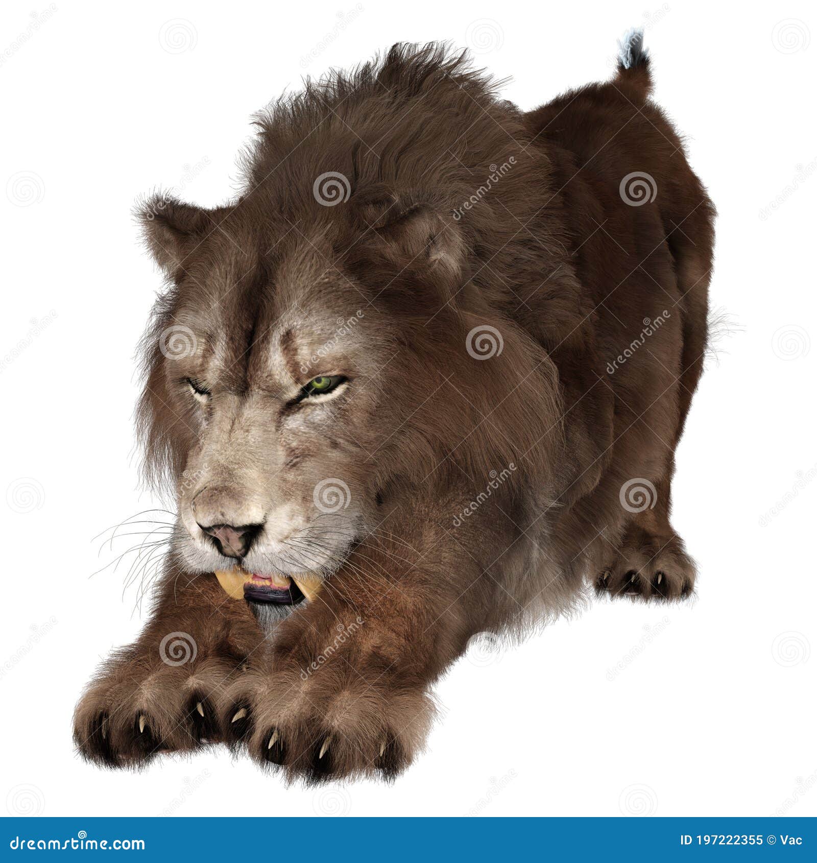 3D Rendering Sabertooth Tiger on White Stock Illustration ...