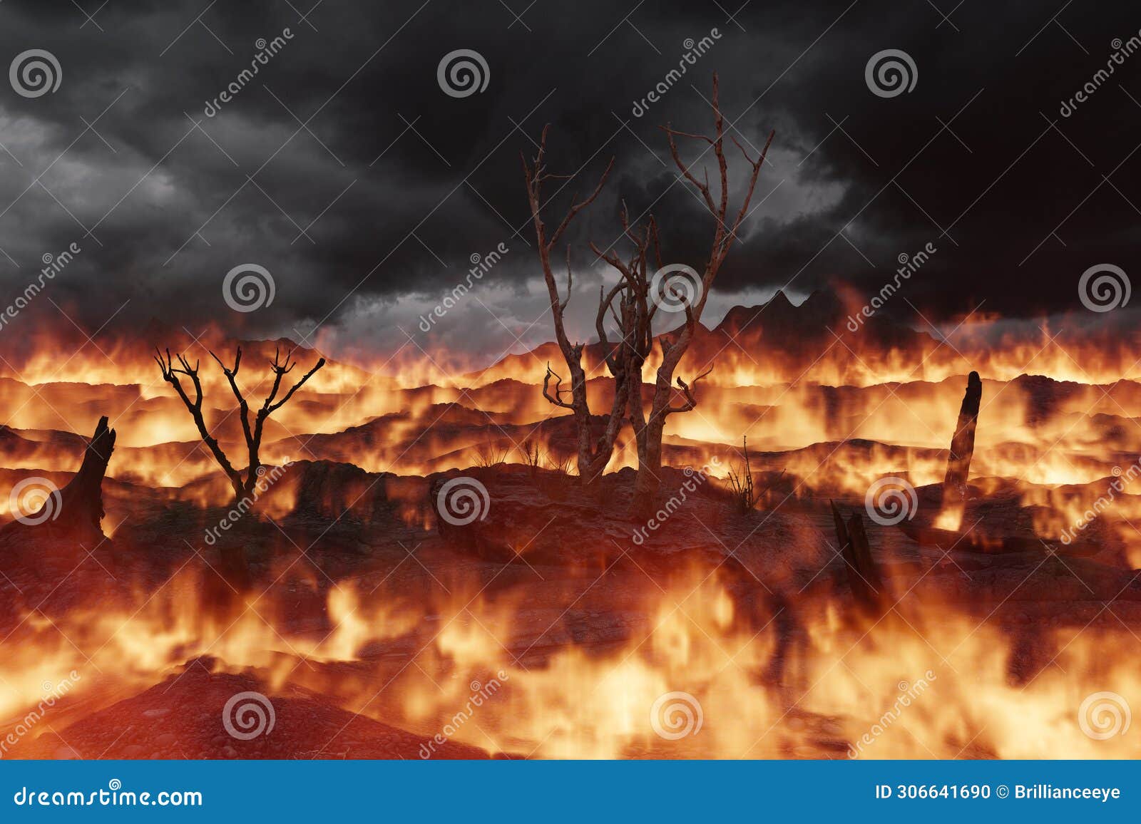 Burned Down Landscape With Charred Trees Stock Photography ...