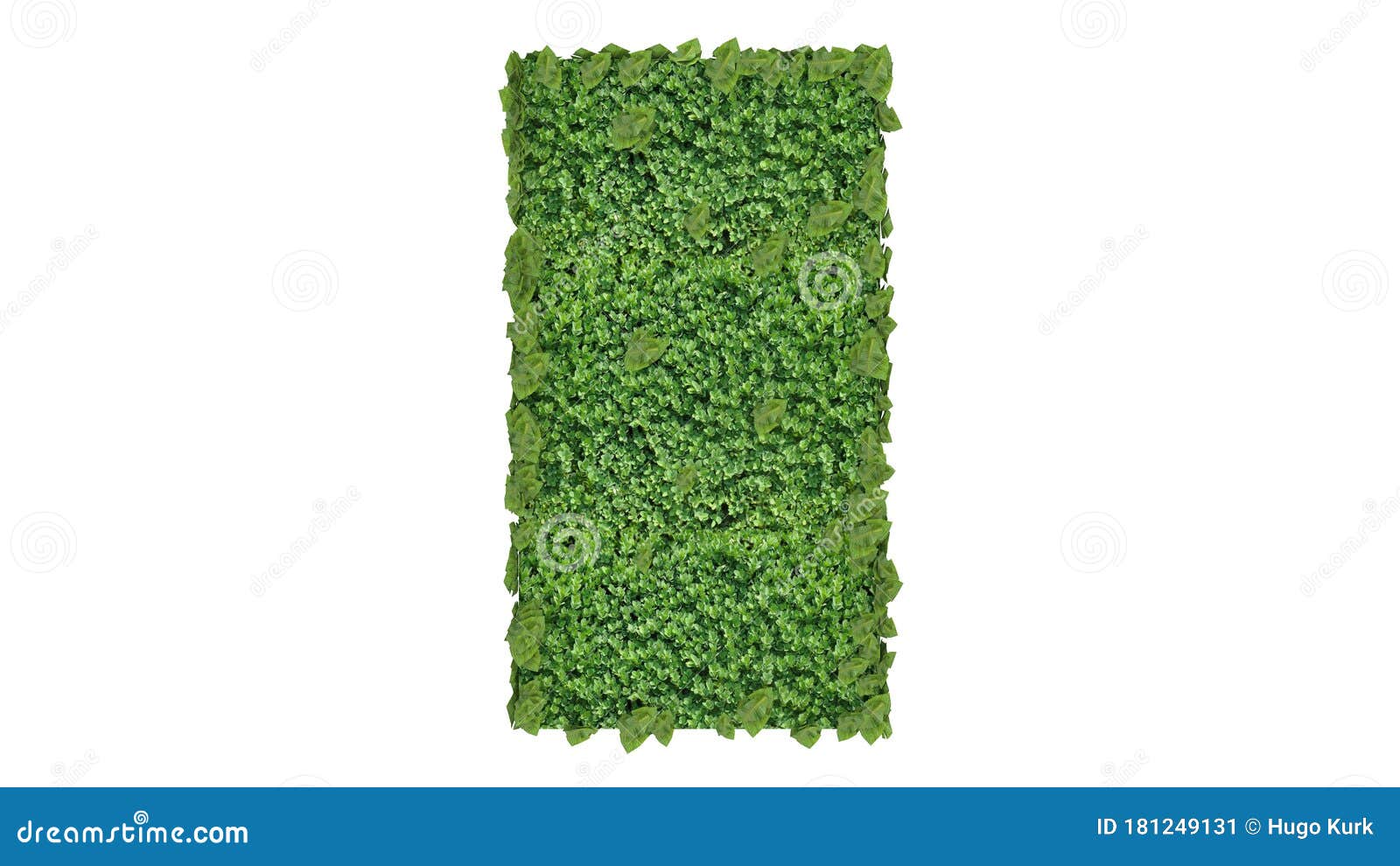 3D Rendering of a Bush Green Floral Render Nature Leaves Isolated Stock ...