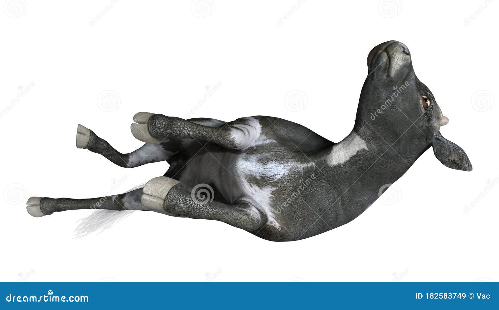 3D Rendering Calf on White stock illustration. Illustration of calf ...