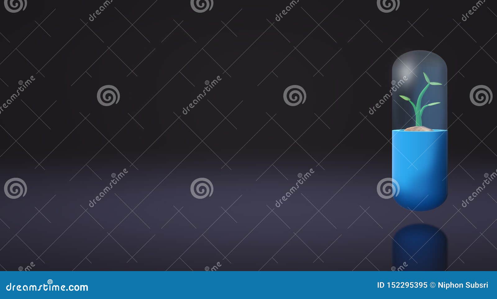 3d Rendering Capsule Tree Sapling for Medicine Content Stock ...
