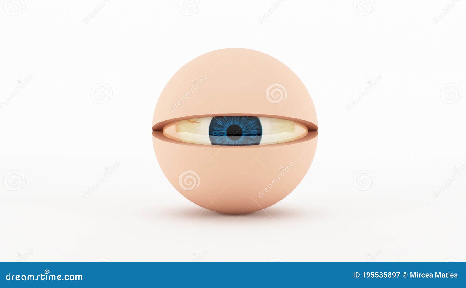 3D Character Eye - Movement and Blink Stock Video - Video of eyesight ...