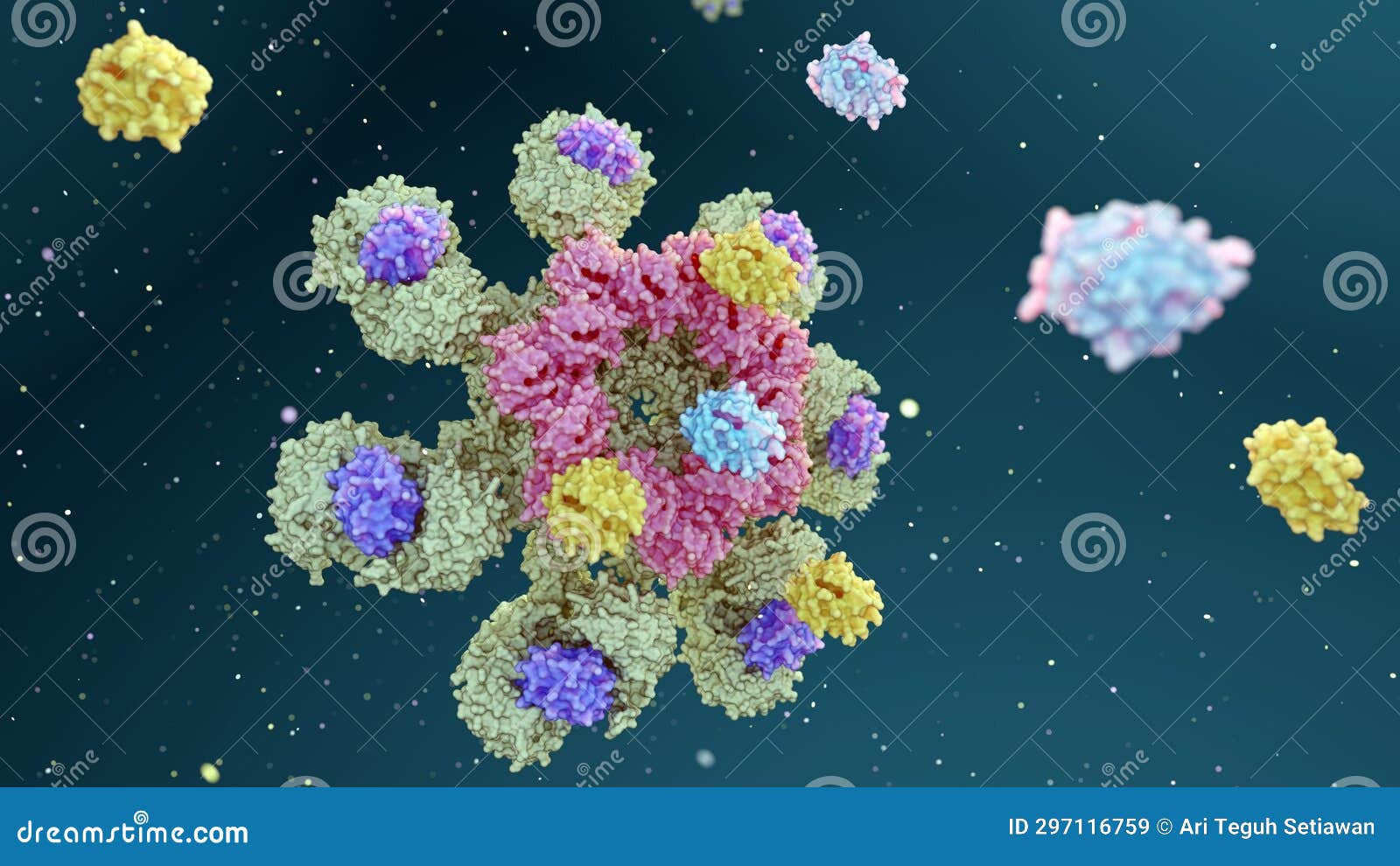Process of Caspase-9 is Activated on the Apoptosome Complex Stock ...