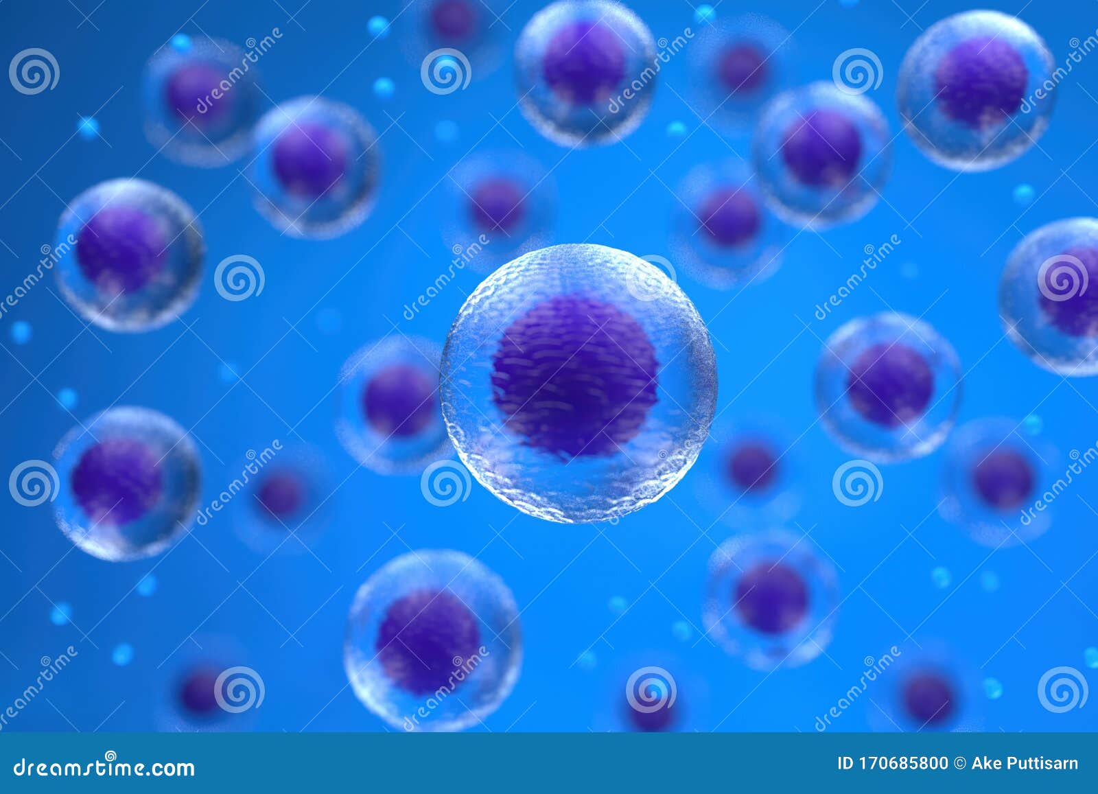 3d Rendering of Cell Biology Deals with the Smallest Unit of Life Stock ...