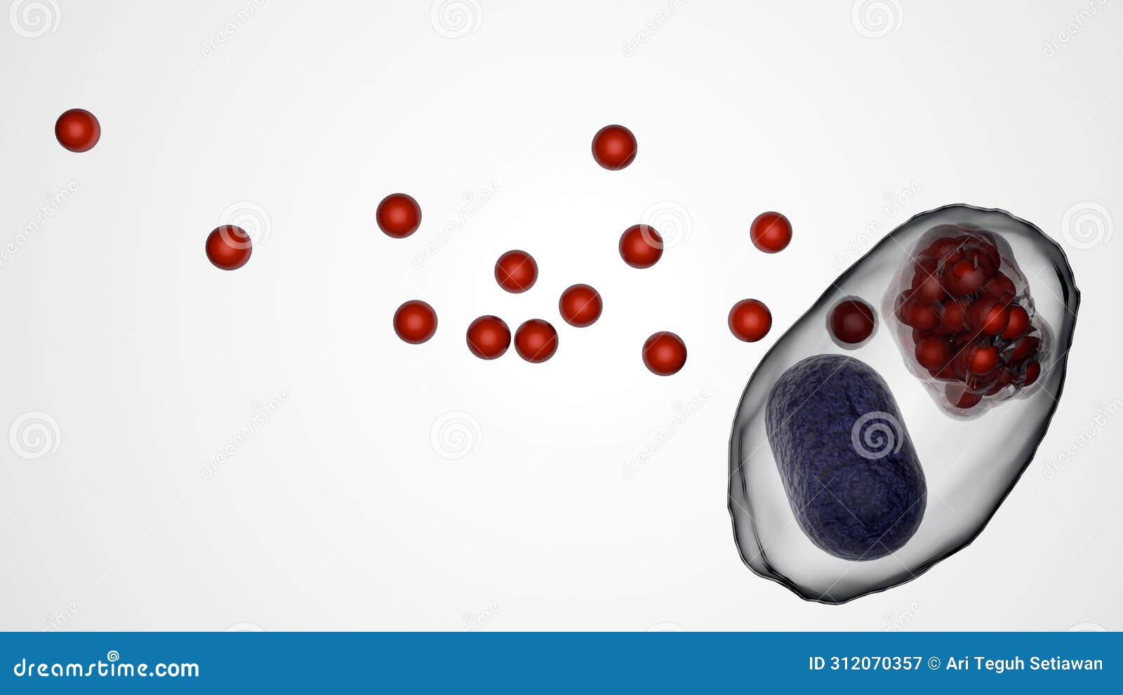 3d Rendering of Chlamydia Trachomatis Inside of Host Cells Stock ...