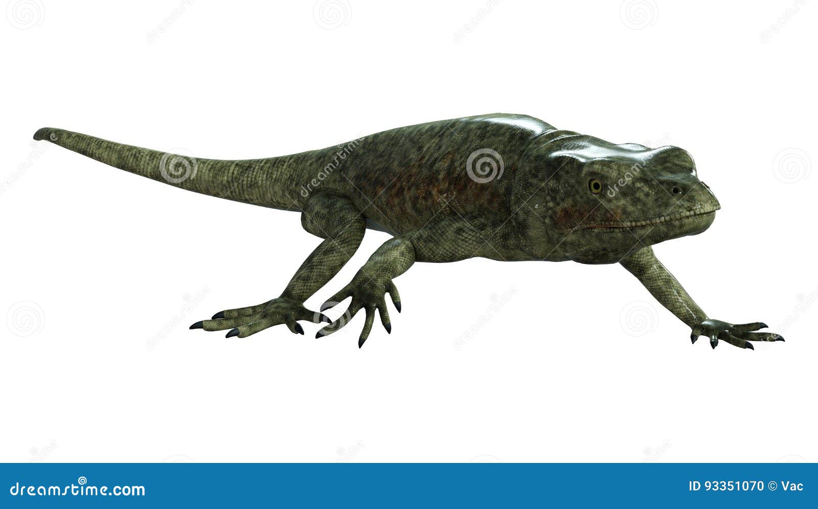Chuckwalla Cartoons, Illustrations & Vector Stock Images - 60 Pictures ...