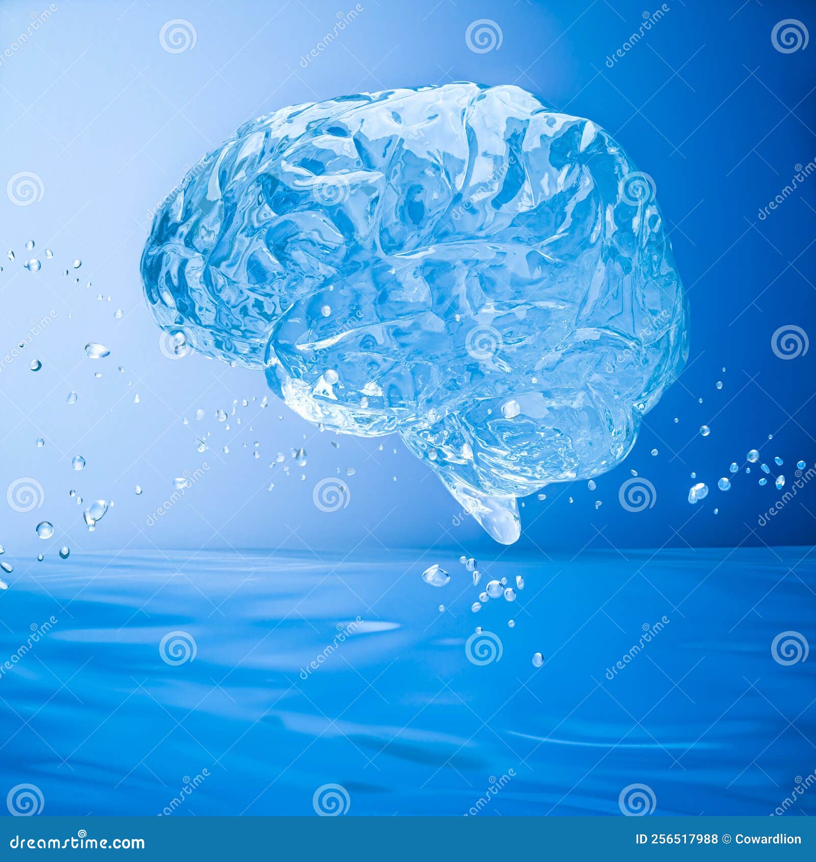 3D Rendering of a Clear Liquid Water Forms into a Human Brain Stock ...