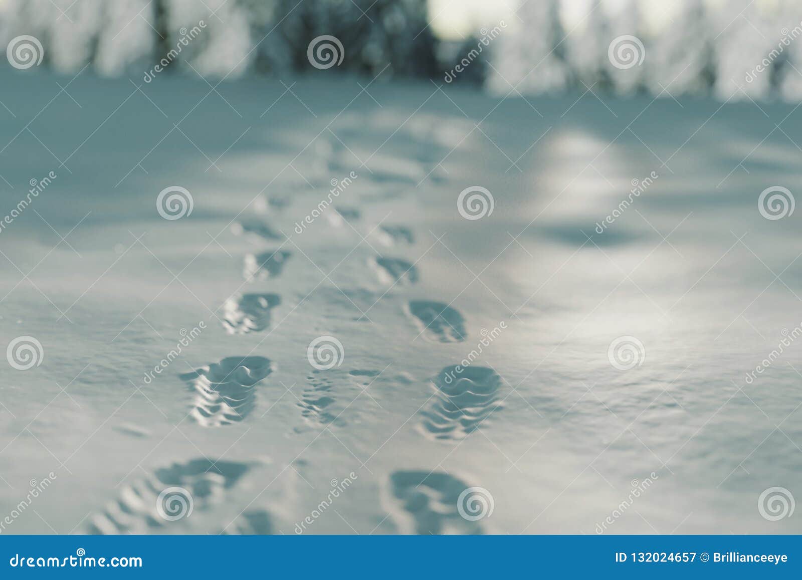 Close Up On Footsteps On Sandy Ground In Beautiful Golden Sunset On ...