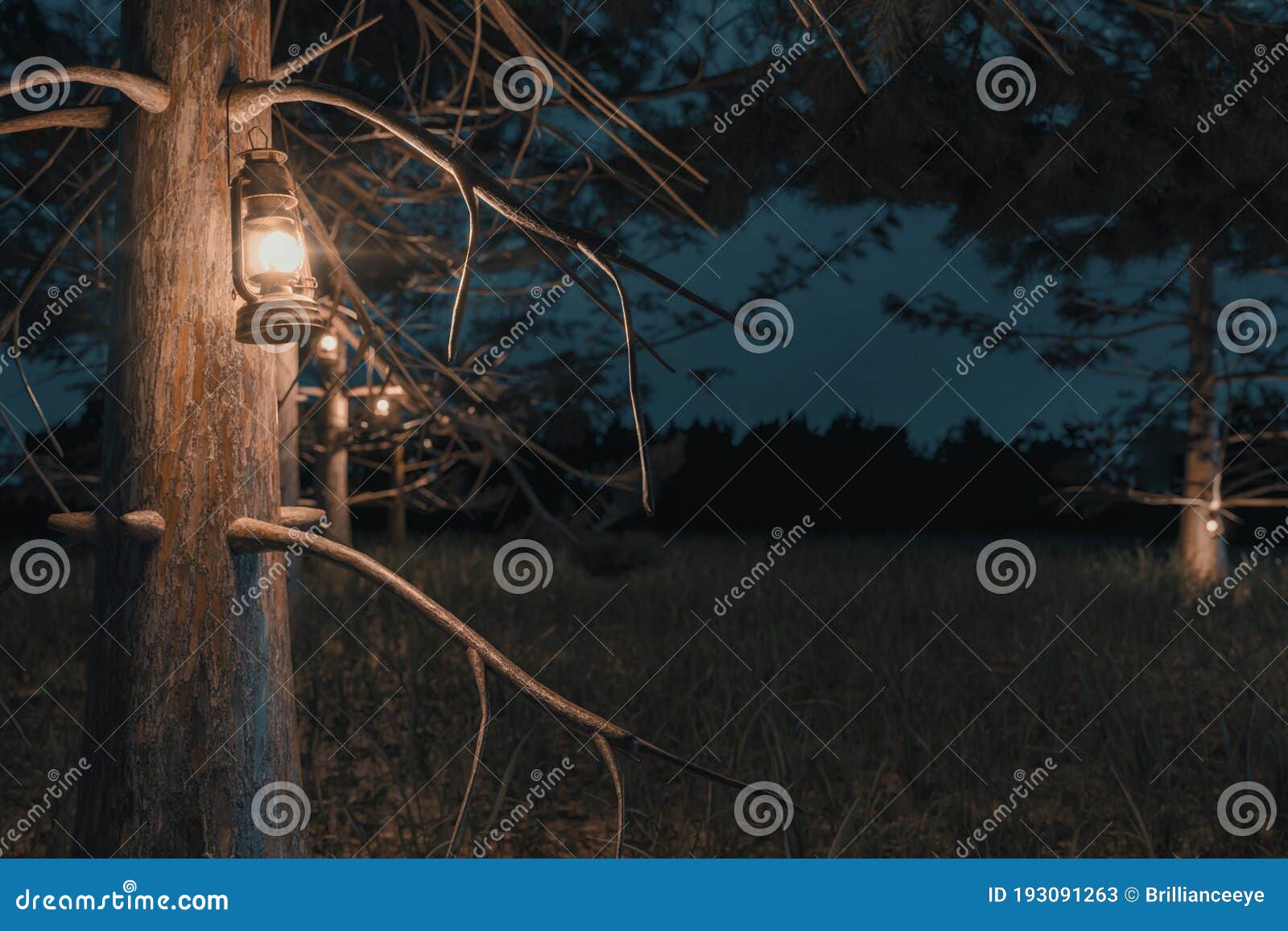 3d Rendering of Close-up Shot of Forest at Night with Hanging Lighten ...