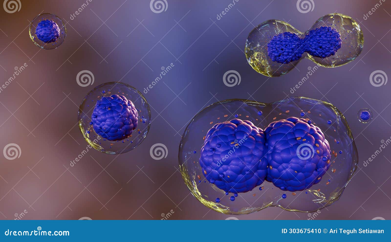 3d Rendering of Close Up View of Stem Cells Division Stock Illustration ...
