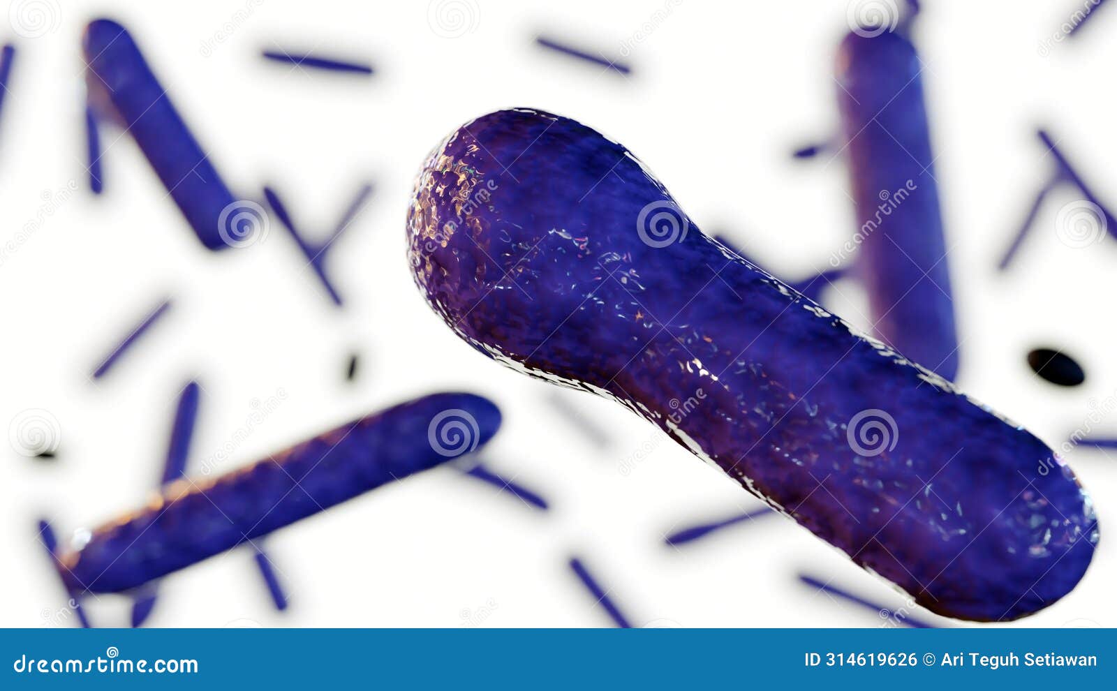 Clostridium Botulinum (Latin) - An Anaerobic Gram-positive Bacterium Of ...
