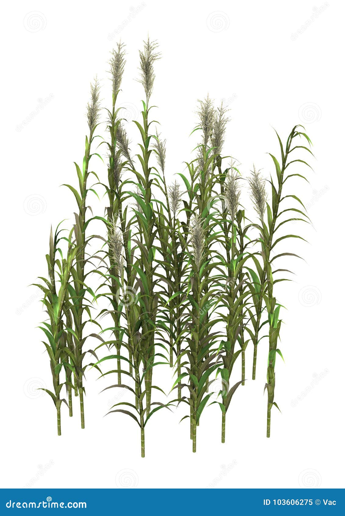 Clumping Cartoons, Illustrations & Vector Stock Images - 77 Pictures to ...