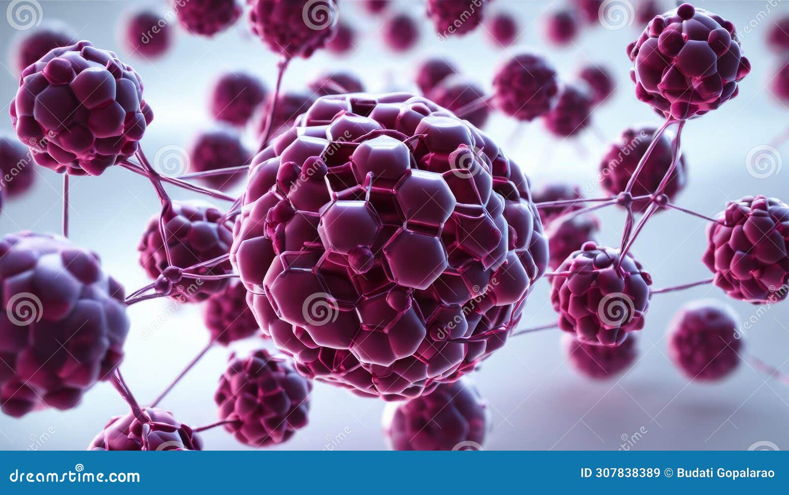 3D Rendering of a Cluster of Cells with a Central Cell Highlighted ...